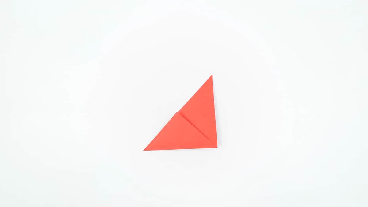 How to Fold an Origami Turtle — Step by Step with Photos