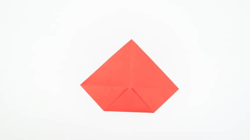How to Fold an Origami Turtle — Step by Step with Photos