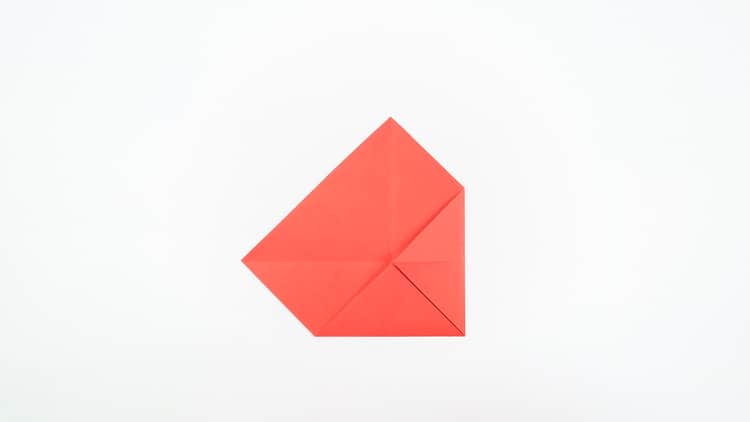 How to Fold an Origami Turtle — Step by Step with Photos